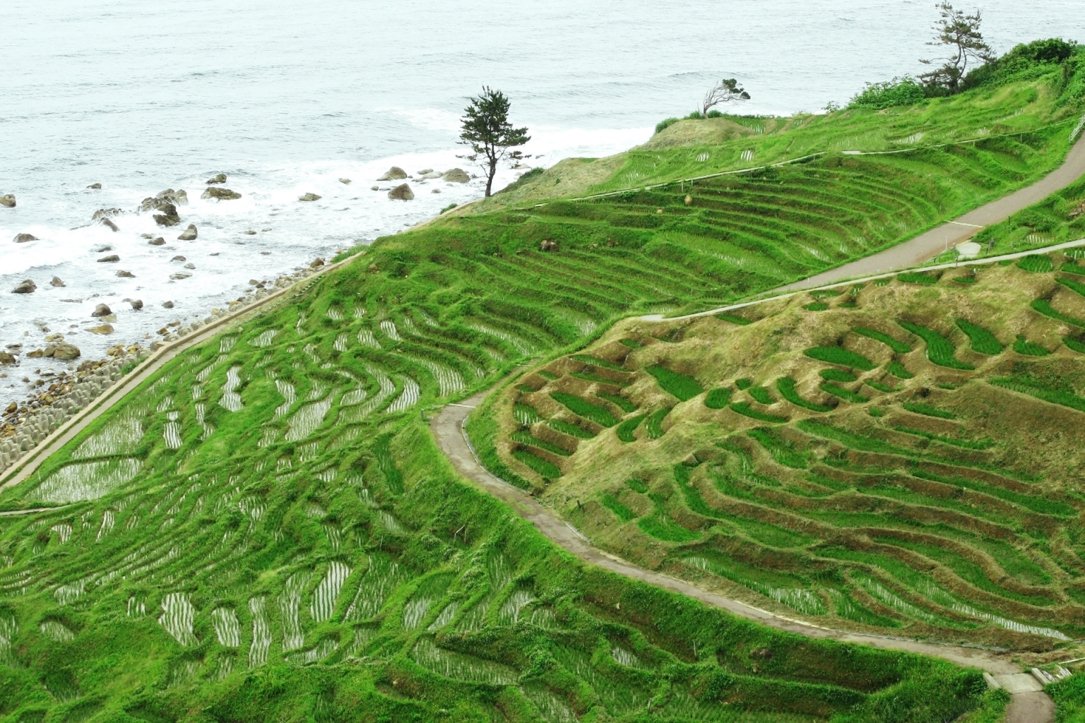 Shinkai Salt | Japanese Salt. Traditional Japanese technique | SHINKAI ...